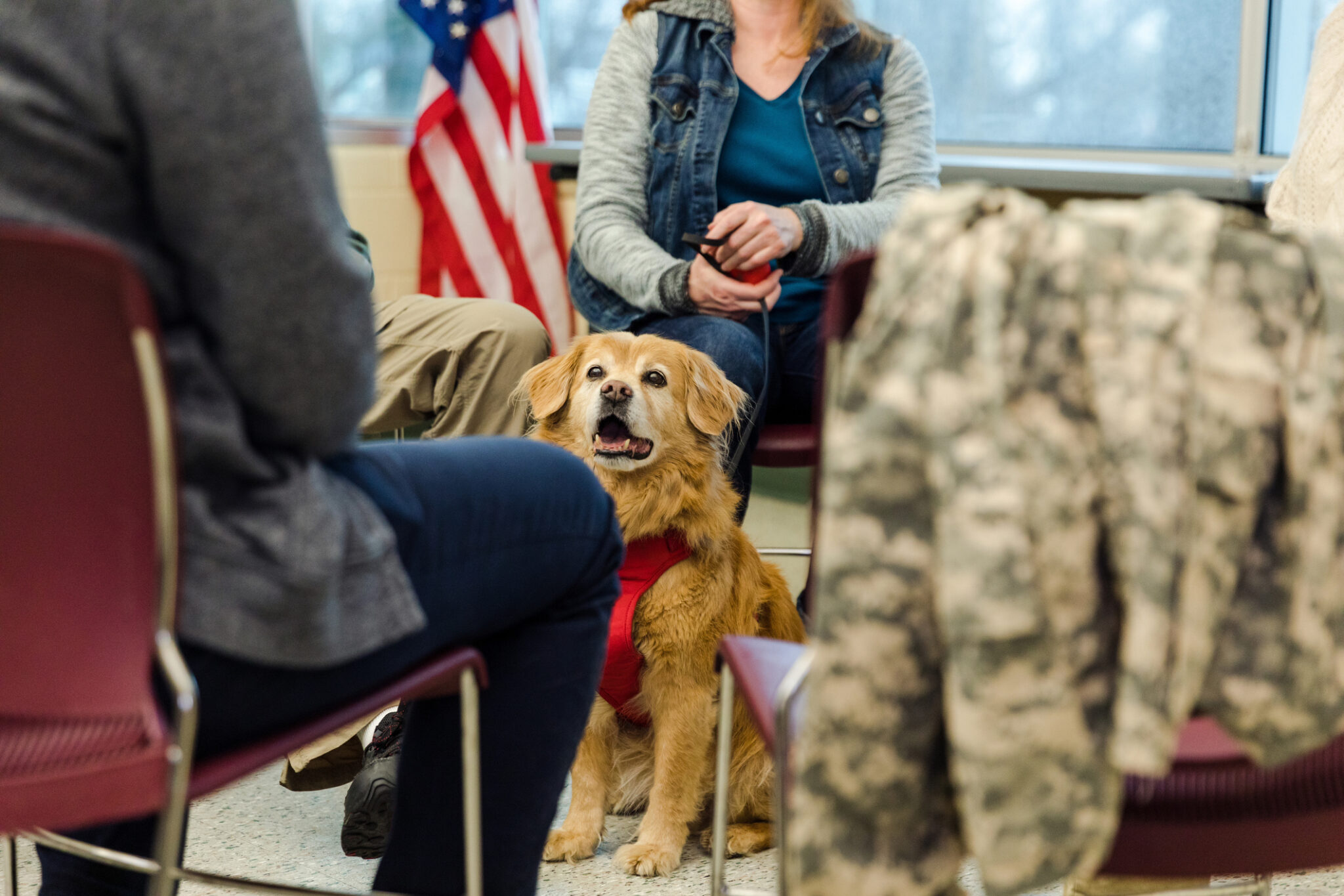 Emotional Support Animals vs. Service Animals: What Renters and ...