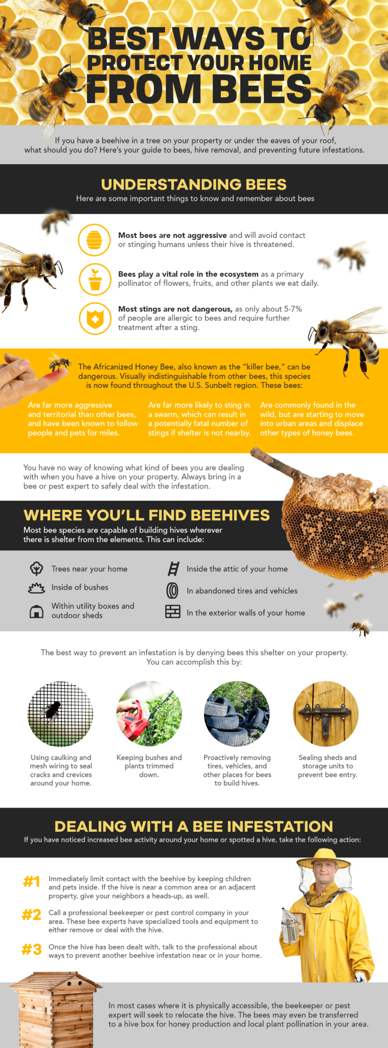 How to Protect Your Property From Bees - RPM Hometown
