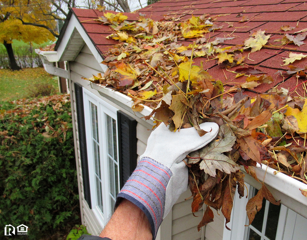 Leaves in the Gutters? Clean ‘Em Up!