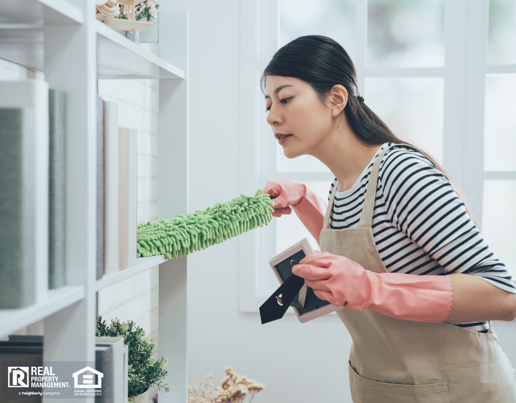 Best Cleaning Dusters