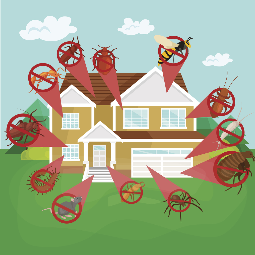 Natural Pest Control Solutions for Your Carson Rental Property