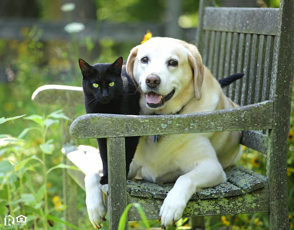 Pet-Friendly Gardens for Your El Segundo Rental Property